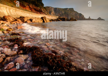 Beautiful dawn light at Ansteys Cove near Torquay South Devon with Long ...