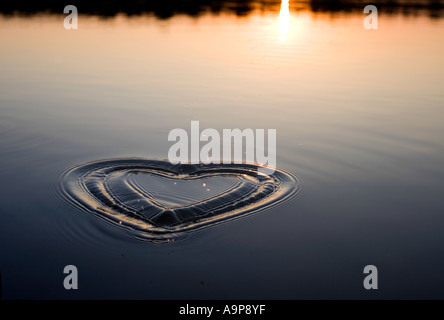 Heart shaped water ripple on the surface of a lake in India at sunrise ...