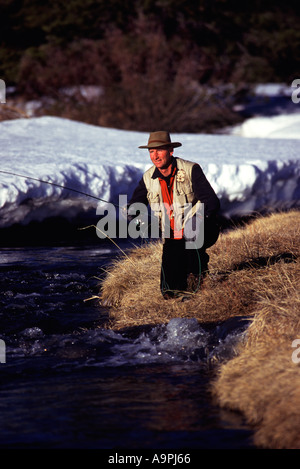 The sportsman during difficult exercise, sports gymnastics Stock Photo ...