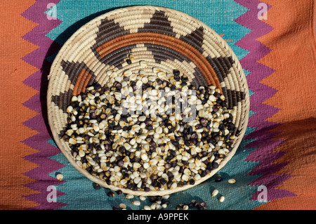 Posole a form of dried maize, or hominy, in a Native American basket ...