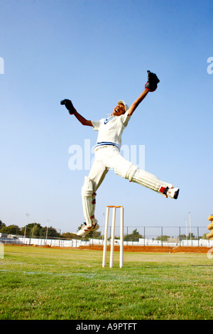 Wicket keeper in mid air catching cricket ball. Model Released Stock ...