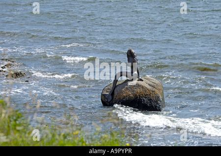 The Balintore Mermaid Seaboard Village Easter Ross Scotland Stock Photo ...
