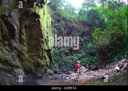 Waterfall repelling tour Cabo Matapalo Costa Rica Stock Photo - Alamy