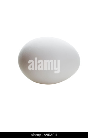close up of single chicken egg Stock Photo - Alamy