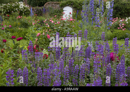 Cottage Garden June Norfolk UK Stock Photo - Alamy