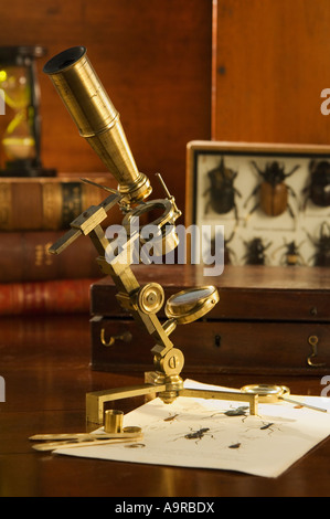 Old fashioned microscope on table Stock Photo - Alamy