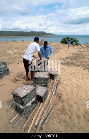Kapenta drying, Lake Kariba, Zimbabwe, Africa Stock Photo - Alamy