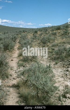 old wagon ruts on Oregon Trail Keeney Pass Vale Oregon 158701 Stock ...