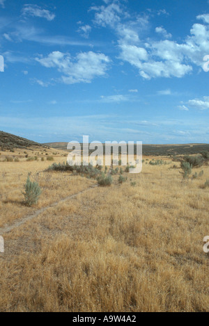 old wagon ruts on Oregon Trail Keeney Pass Vale Oregon 158701 Stock ...