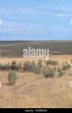 old wagon ruts on Oregon Trail Keeney Pass Vale Oregon 158701 Stock ...