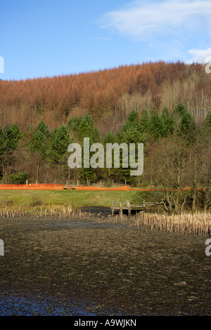Cwm Darren Park, Bargoed, South Wales Stock Photo - Alamy
