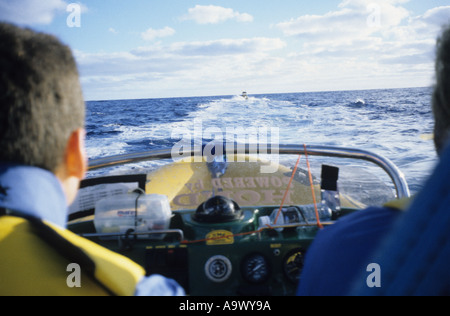British Team Camel Trophy Ribtec RIB on ocean crossing from Tonga to ...