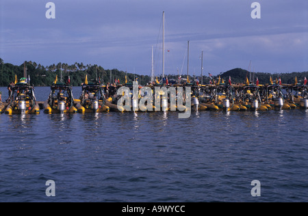Camel Trophy Ribtec RIB in Tonga Stock Photo - Alamy