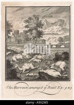 Plague Of Murrain Stock Photo - Alamy