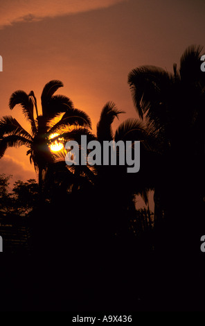 Sunset over Brazilian rainforest Stock Photo - Alamy