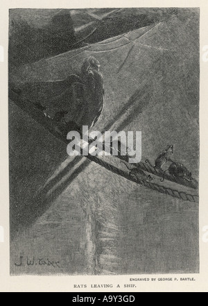 Rats Leaving A Ship Stock Photo - Alamy