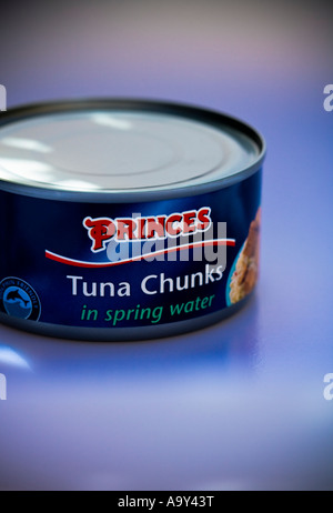 tuna chunks tin tinned fish princes cut out white background copy space ...