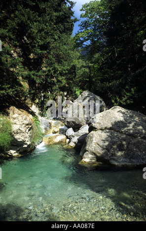 A flowing Chasm river surrounded by trees and moss covered rocks Stock ...