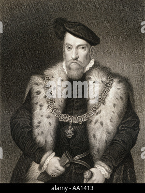 Henry FitzAlan, 19th Earl of Arundel, 1512-1580, an English nobleman ...