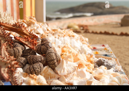 Sea Shells shop in Kanyakumari ; Tamil Nadu ; India Stock Photo - Alamy