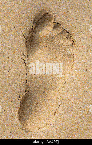 single right foot footprint in snow floor background close up; essex ...
