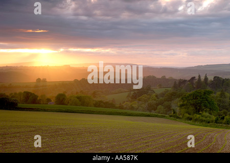 Rural landscape sunset Bickham Devon UK Stock Photo - Alamy