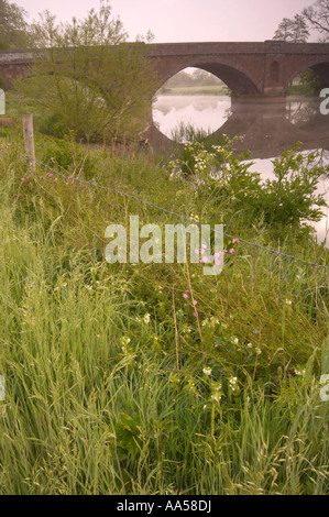 Cowley bridge on the River Exe Exeter Devon UK Stock Photo - Alamy