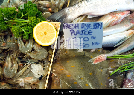 Rye Bay plaice fresh local squid local monkfish Rock a Nore Fisheries ...