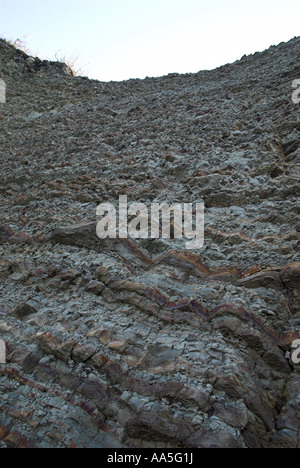 Strunjan cliff, Slovenia Stock Photo - Alamy