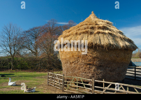 A traditional haystack in an English farmyard Stock Photo - Alamy