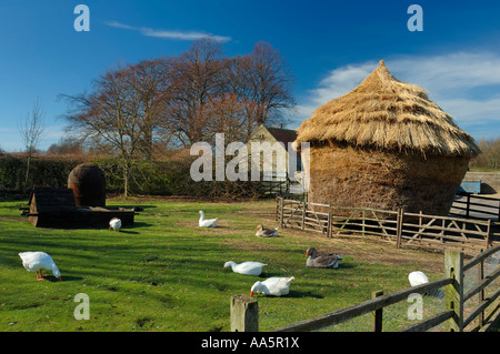 A traditional haystack in an English farmyard Stock Photo - Alamy