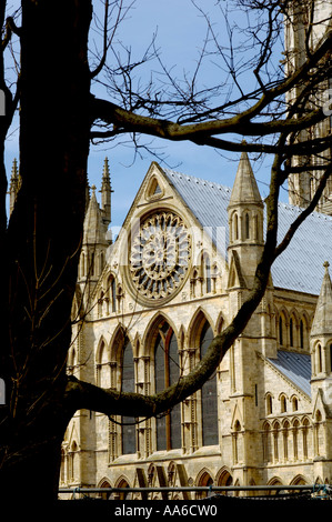 The Rose Window on York Minster's South facade glimpsed through the ...