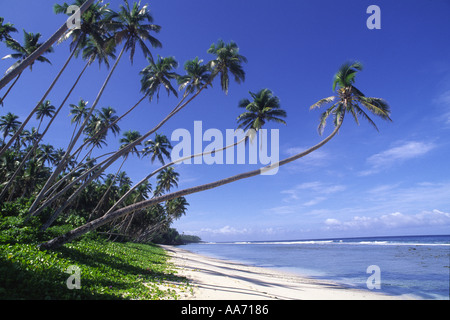 Faiaai Beach Island of Savaii Samoa Stock Photo - Alamy