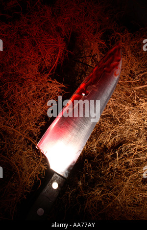 The crime scene, murder, investigation, bloody knife on the grass, in ...