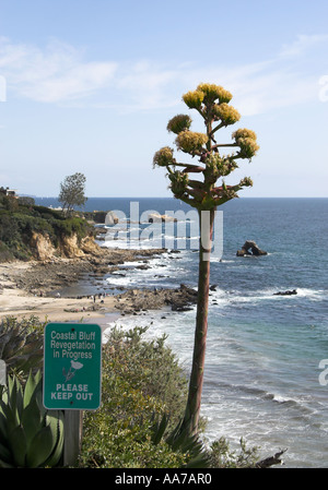 Revegetation please keep out sign, Crystal Creek QLD 4816, Paluma range ...