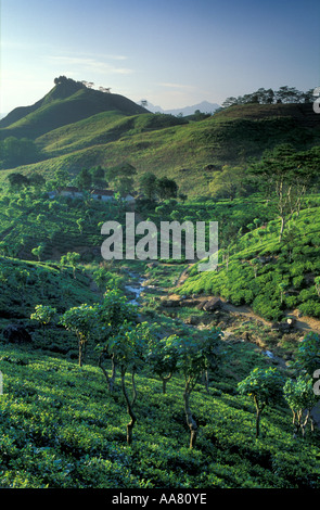 Hunas Falls Matale District Hill Country nr Kandy Sri Lanka Stock Photo ...