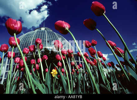 Detroit's Whitcomb Conservatory at Belle Isle Park botanical gardens ...