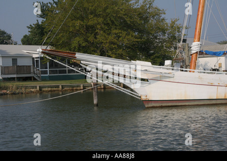 USA Maryland Tilghman Island Skipjacks the last fishing boats to work ...