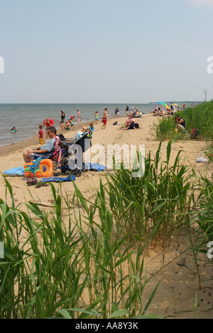 USA Maryland Calvert Cliffs State Park mother and kids hike along a ...