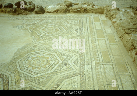 Mosaic floor uncovered at the remains of a Roman Viilla at Stanwick ...