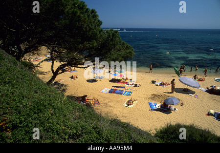 Cala sa Conca Playa d Aro Costa Brava Catalonia Spain Stock Photo - Alamy