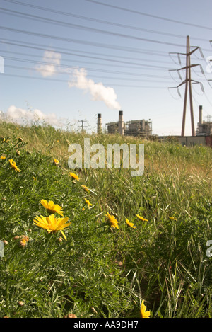 AES Power Generating Station in Redondo Beach, California, USA Stock ...