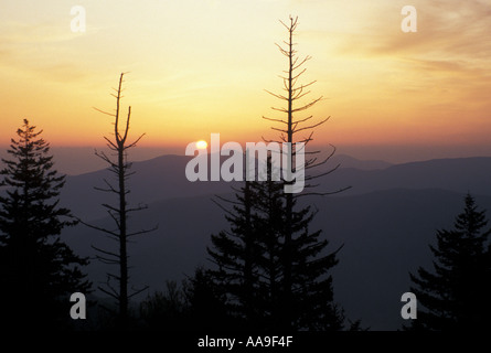 Pisgah National Forest, NC, North Carolina, Pisgah Ranger Station and ...