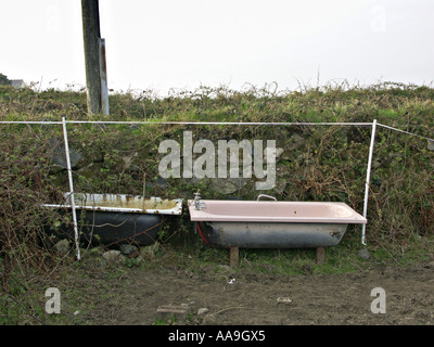 Old bath being used as drinking water for cattle Stock Photo - Alamy