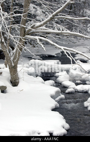 Waters flows in a brook in the spring in New England Stock Photo - Alamy
