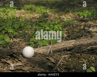 Golfer missing the ball in the rough Stock Photo: 28513774 - Alamy