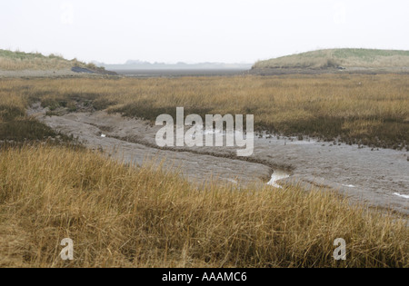 RSPB Freiston Shore nature reserve, The Wash, Lincolnshire, England ...