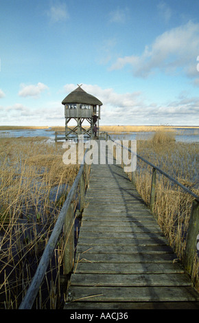 LAKE PAPE LATVIA Stock Photo - Alamy