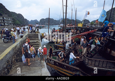 Vietnam, Cat Ba Island, Ben Beo harbor Stock Photo - Alamy