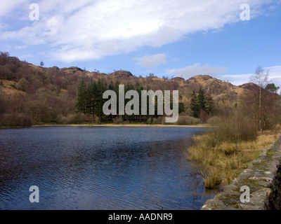 Yew Tree Tarn near Coniston in the Lake District National Park with ...